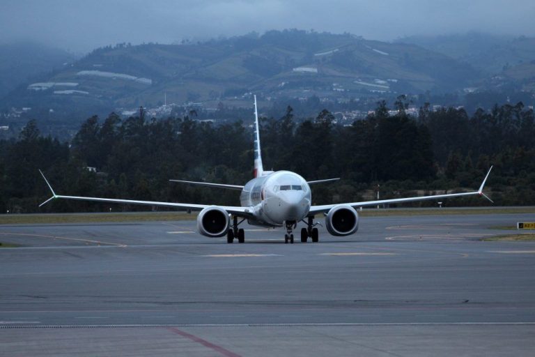American Airlines Fleet Boeing 737 MAX 8 Details and Pictures