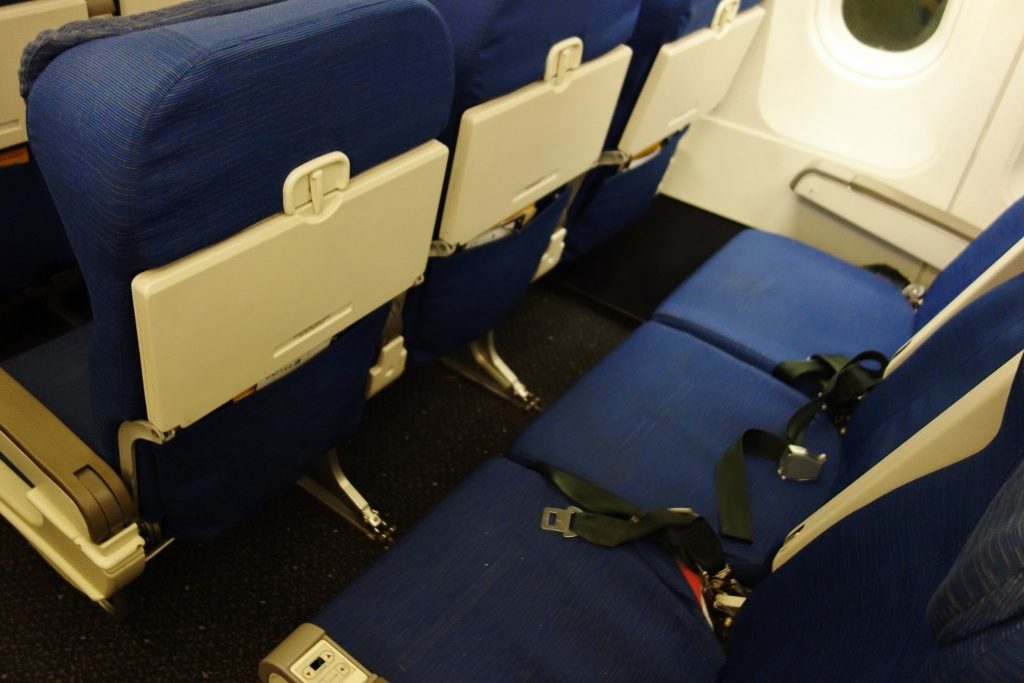 United Airlines Fleet Airbus A319-100 Details and Pictures ...