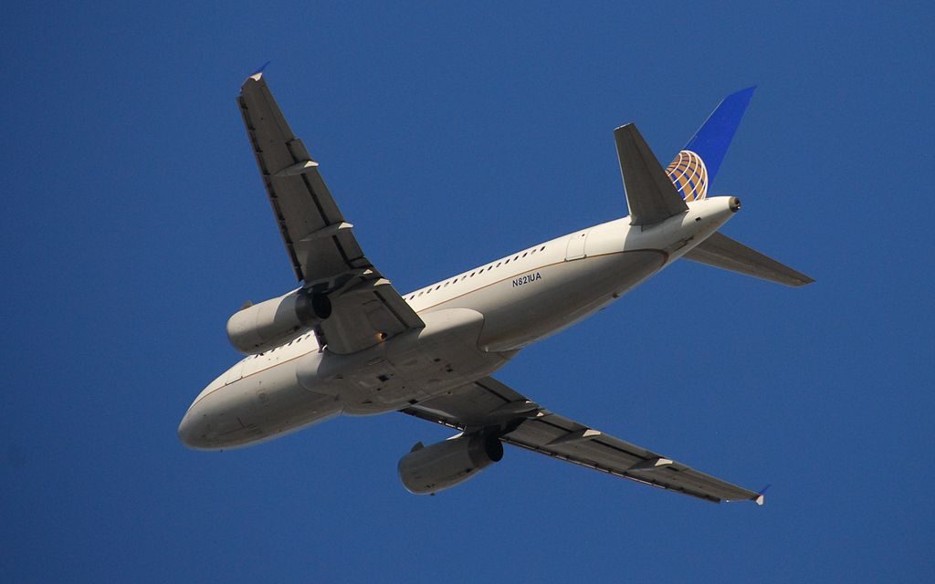United Airlines Fleet Airbus A319-100 Details and Pictures ...