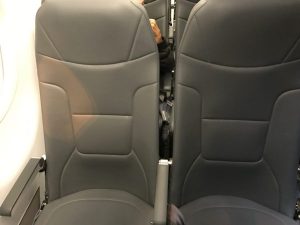 Frontier Airlines Fleet Airbus A321-200 Details and Pictures