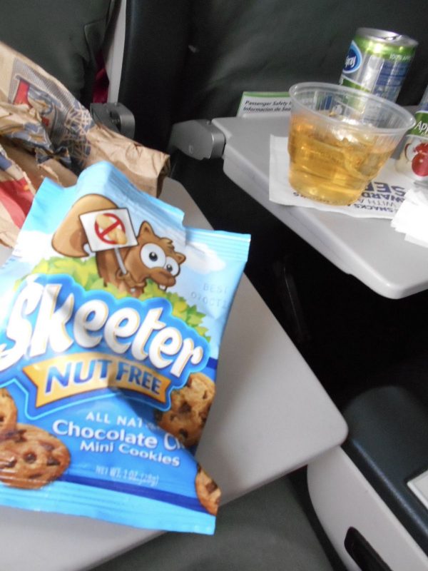 JetBlue Airways Fleet Airbus A320-200 Details and Pictures