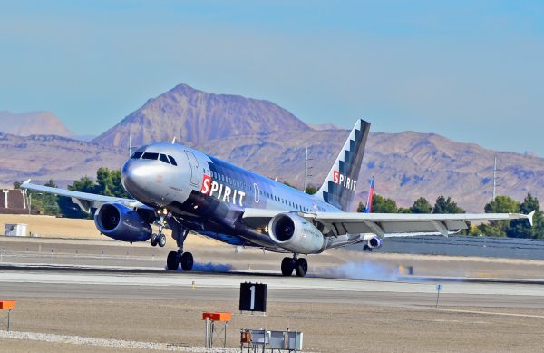 Spirit Airlines Fleet Airbus A319-100 Details and Pictures