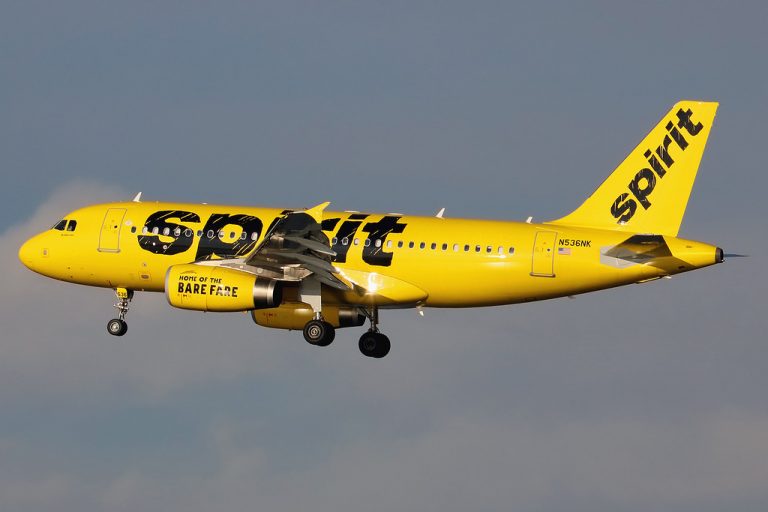 Spirit Airlines Fleet Airbus A319-100 Details and Pictures
