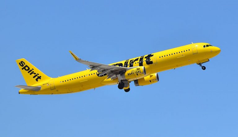 Spirit Airlines Fleet Airbus A321-200 Details and Pictures ...