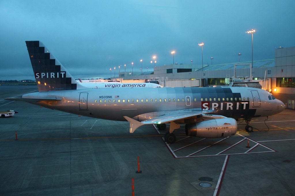 Spirit Airlines Fleet Airbus A319-100 Details and Pictures ...
