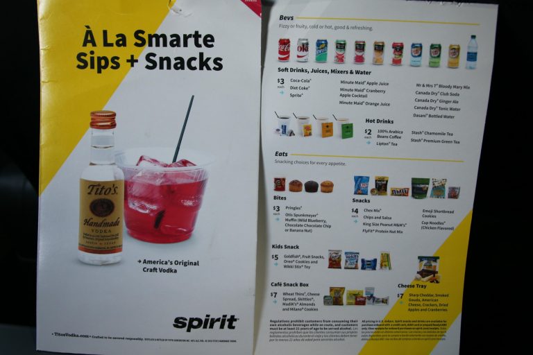 Spirit Airlines Fleet Airbus A321-200 Details and Pictures