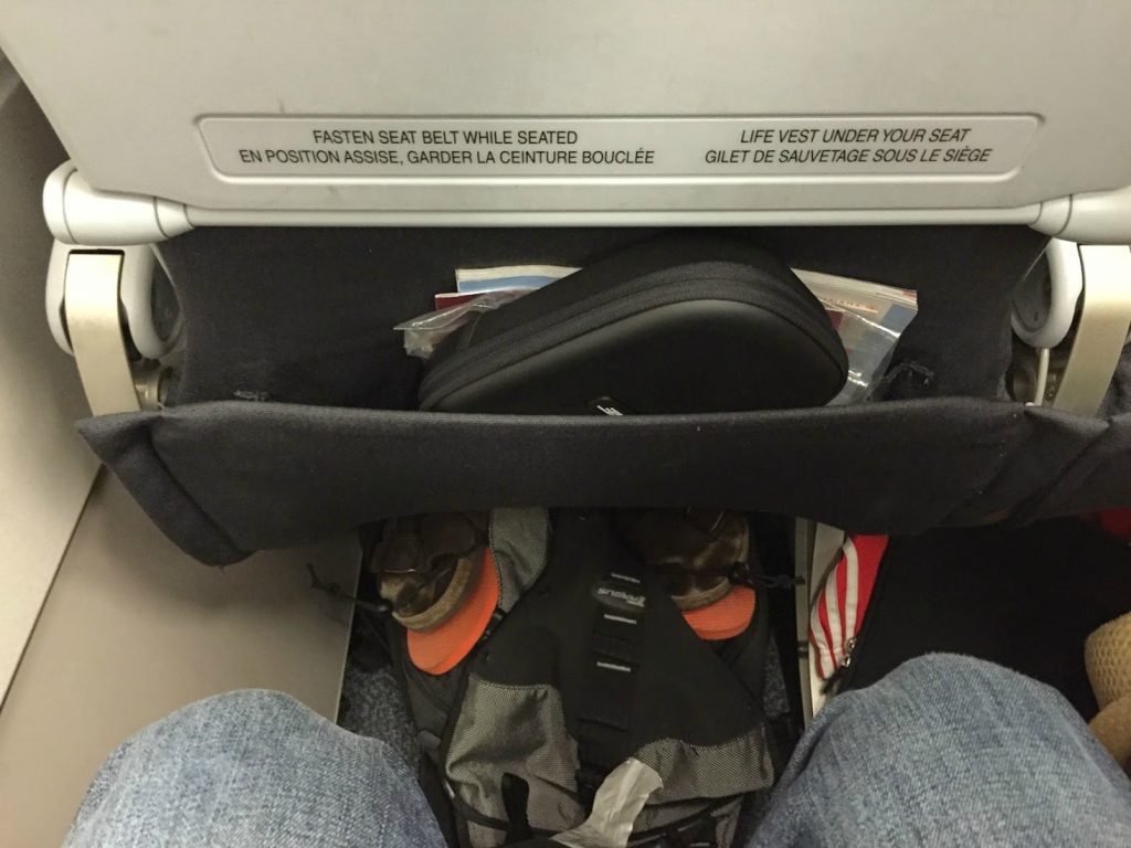 Air Canada Rouge Fleet Airbus A319-100 Details and Pictures ...