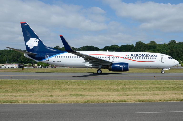Aeroméxico Fleet Boeing 737-800 Details and Pictures