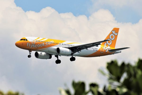 Scoot Airlines Fleet Airbus A320-200 Details and Pictures