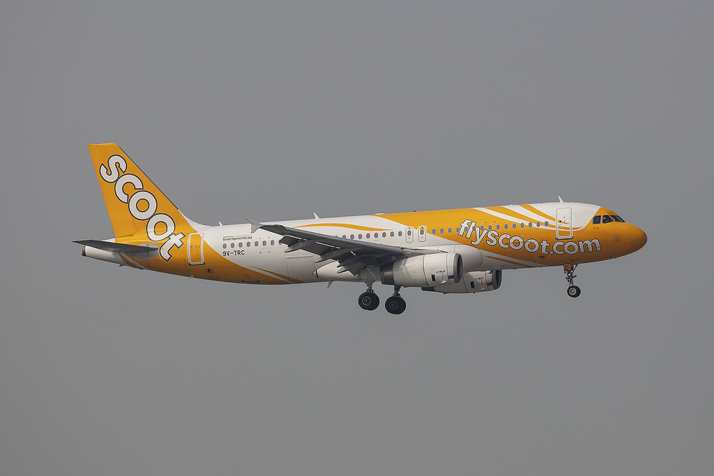 Scoot Airlines Fleet Airbus A320-200 Details and Pictures