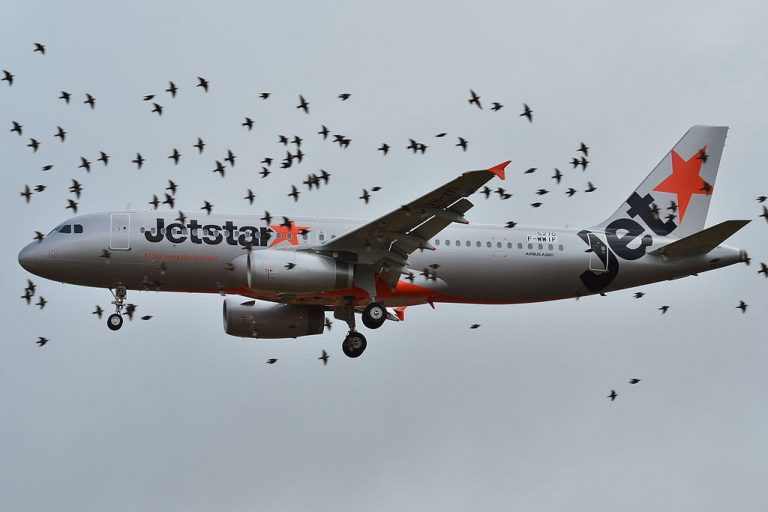 Jetstar Fleet Airbus A320-200 Details and Pictures