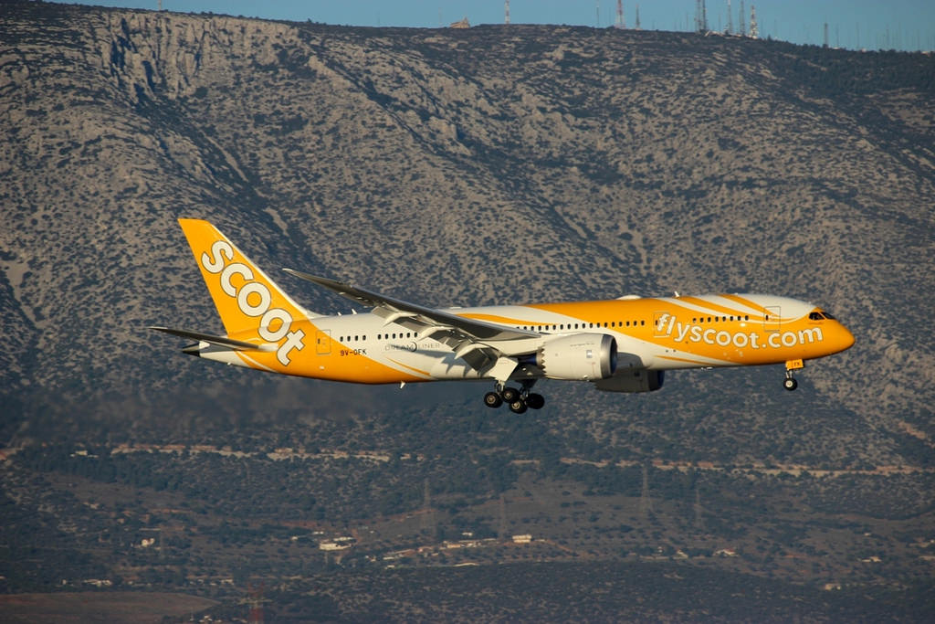 Scoot Airlines Fleet Boeing 787-8 Dreamliner Details and Pictures