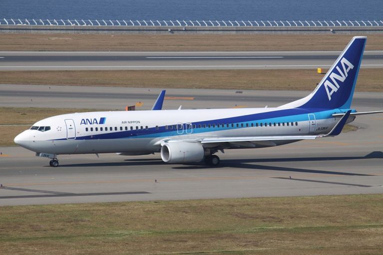 ANA Fleet Boeing 737-800 Details and Pictures