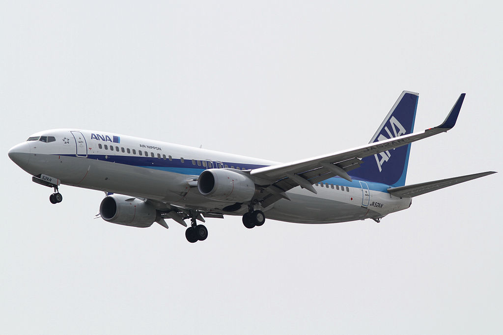 ANA Fleet Boeing 737-800 Details and Pictures