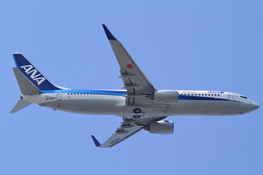 ANA Fleet Boeing 737-800 Details and Pictures
