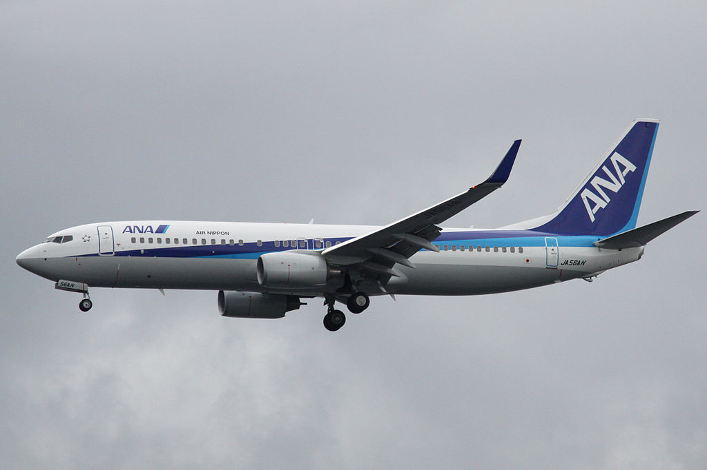ANA Fleet Boeing 737-800 Details and Pictures