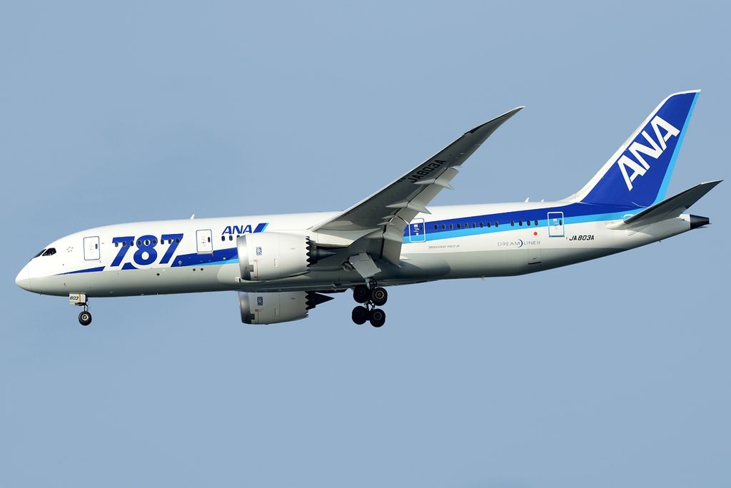 ANA Fleet Boeing 787-8 Dreamliner Details and Pictures